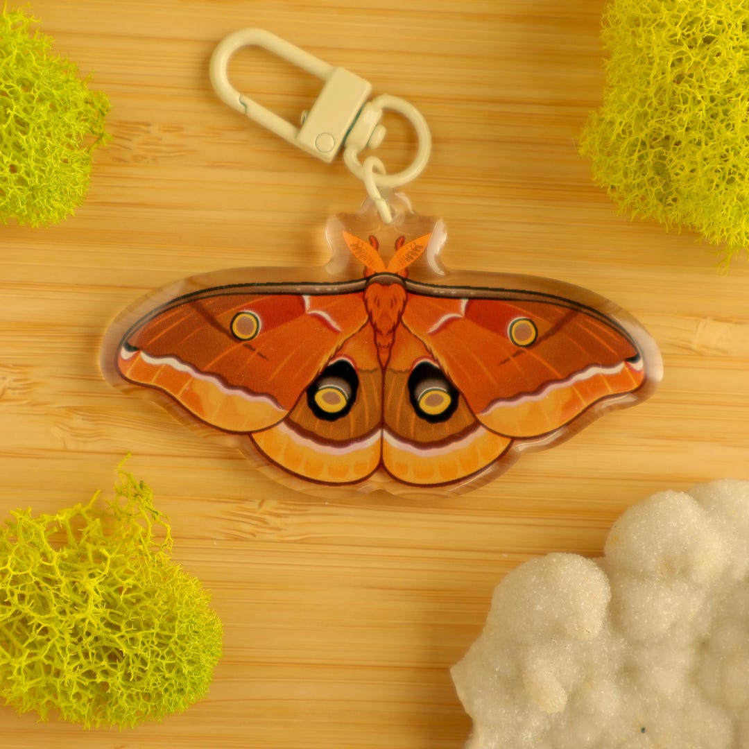 Polyphemus Moth Acrylic Keychain / Entomology / Entomologist / Moth ...