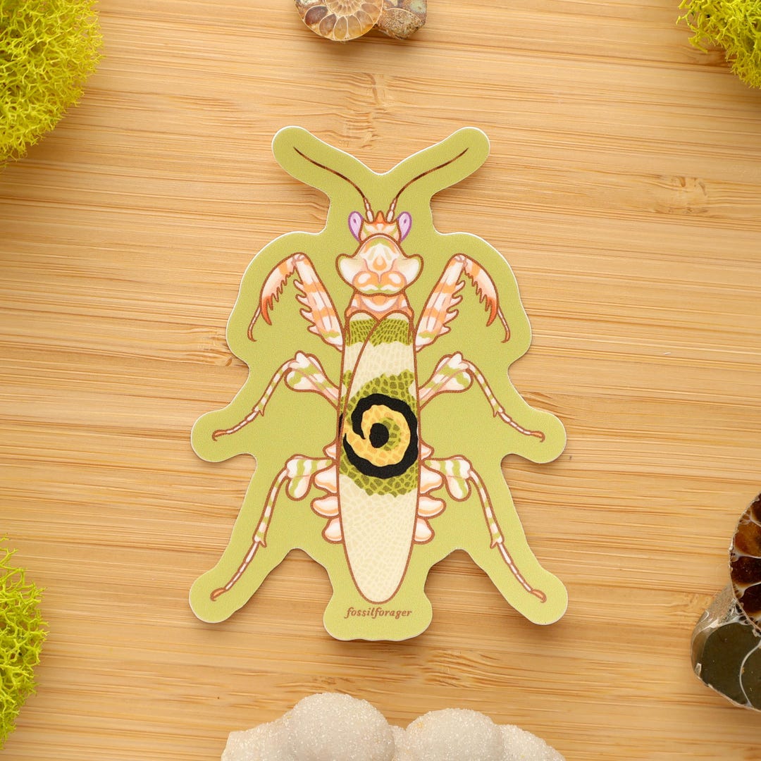 Spiny Flower Mantis Sticker / Insect Sticker / Entomologist ...