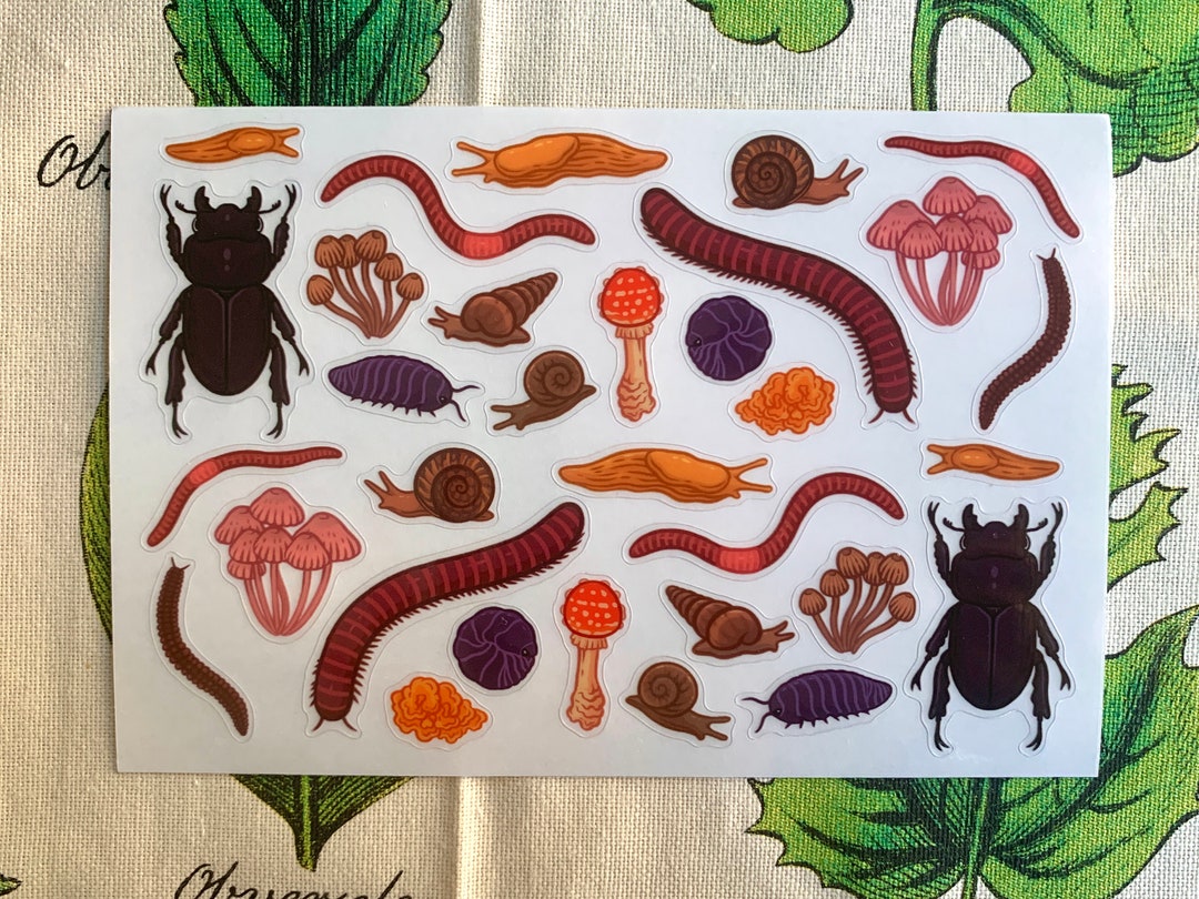 Dirt Friends Clear Sticker Sheet - Etsy