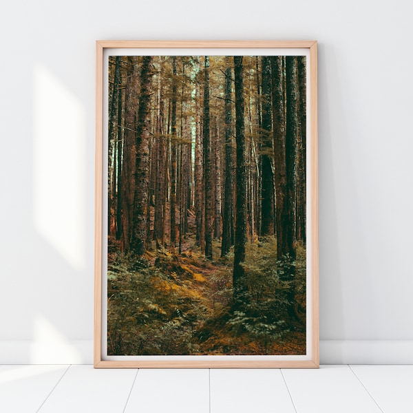 Nature Photo - Etsy