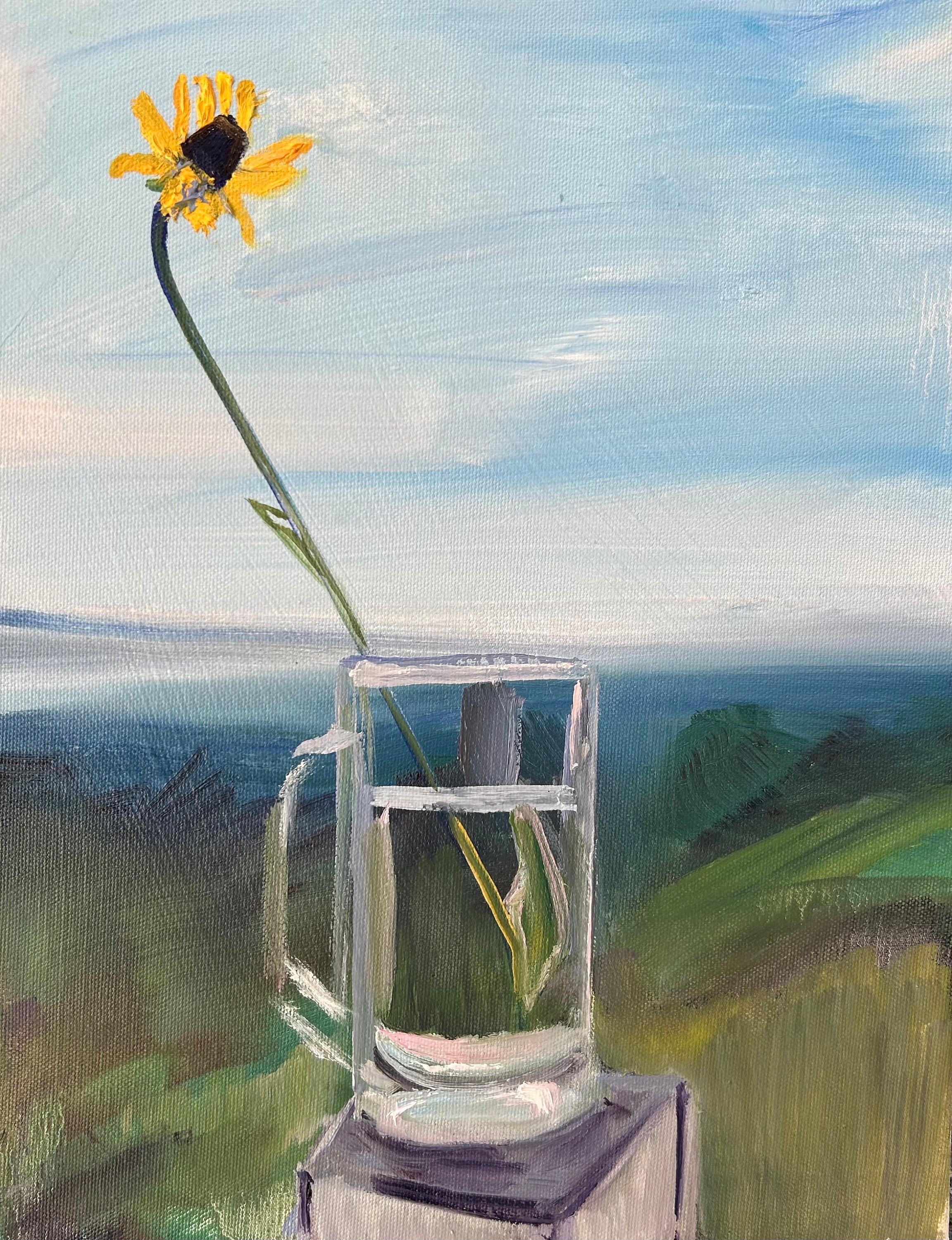Outdoor Black Eyed Susan Still Life - Etsy