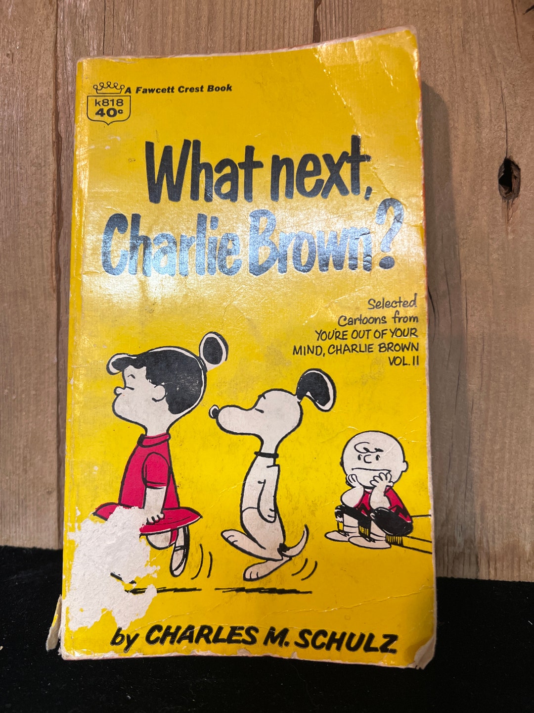What Next Charlie Brown? Charles M Shultz - Etsy