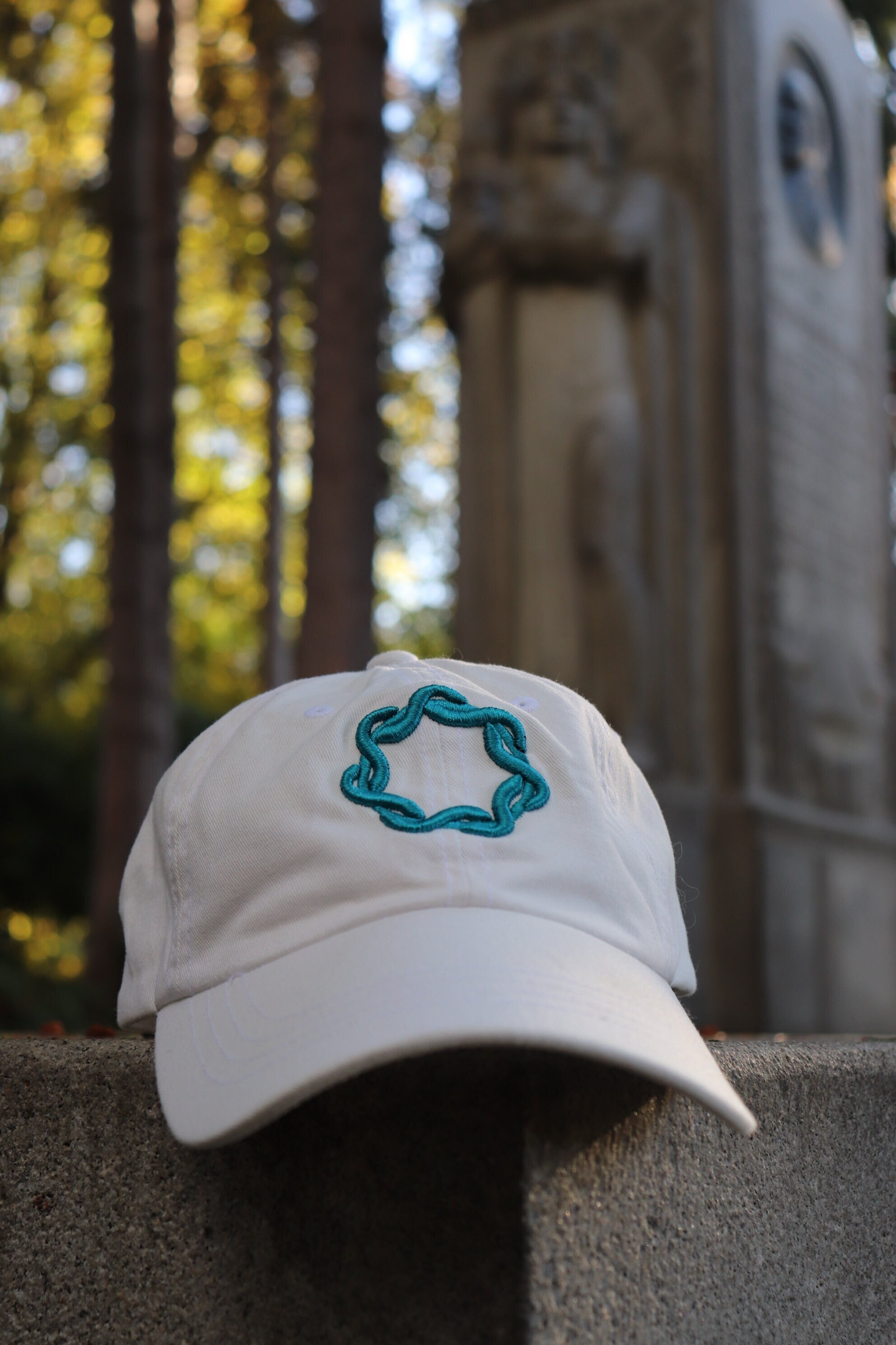 Products — Seattle Flag