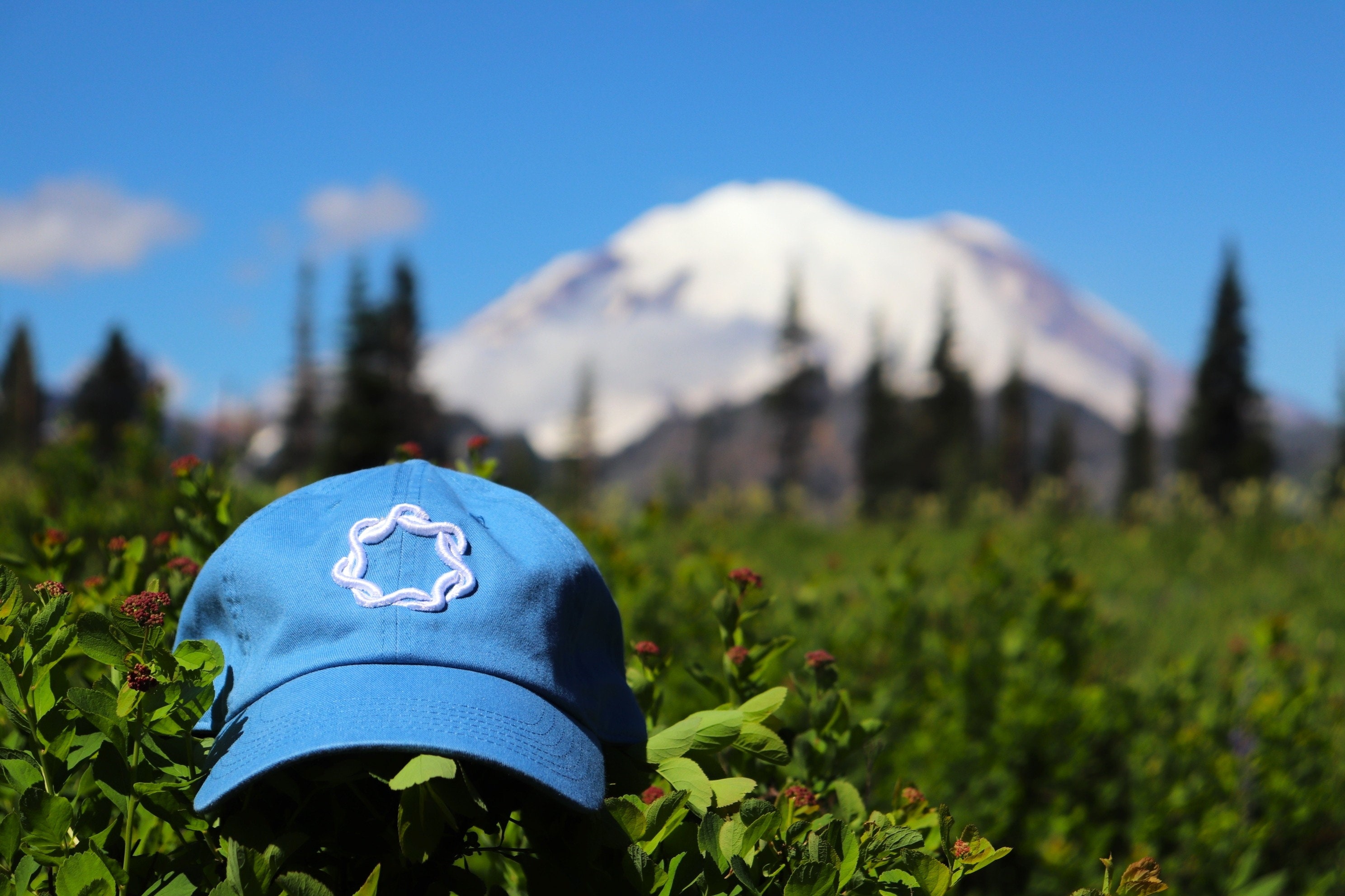SCF - Cascade Cap — Seattle Flag