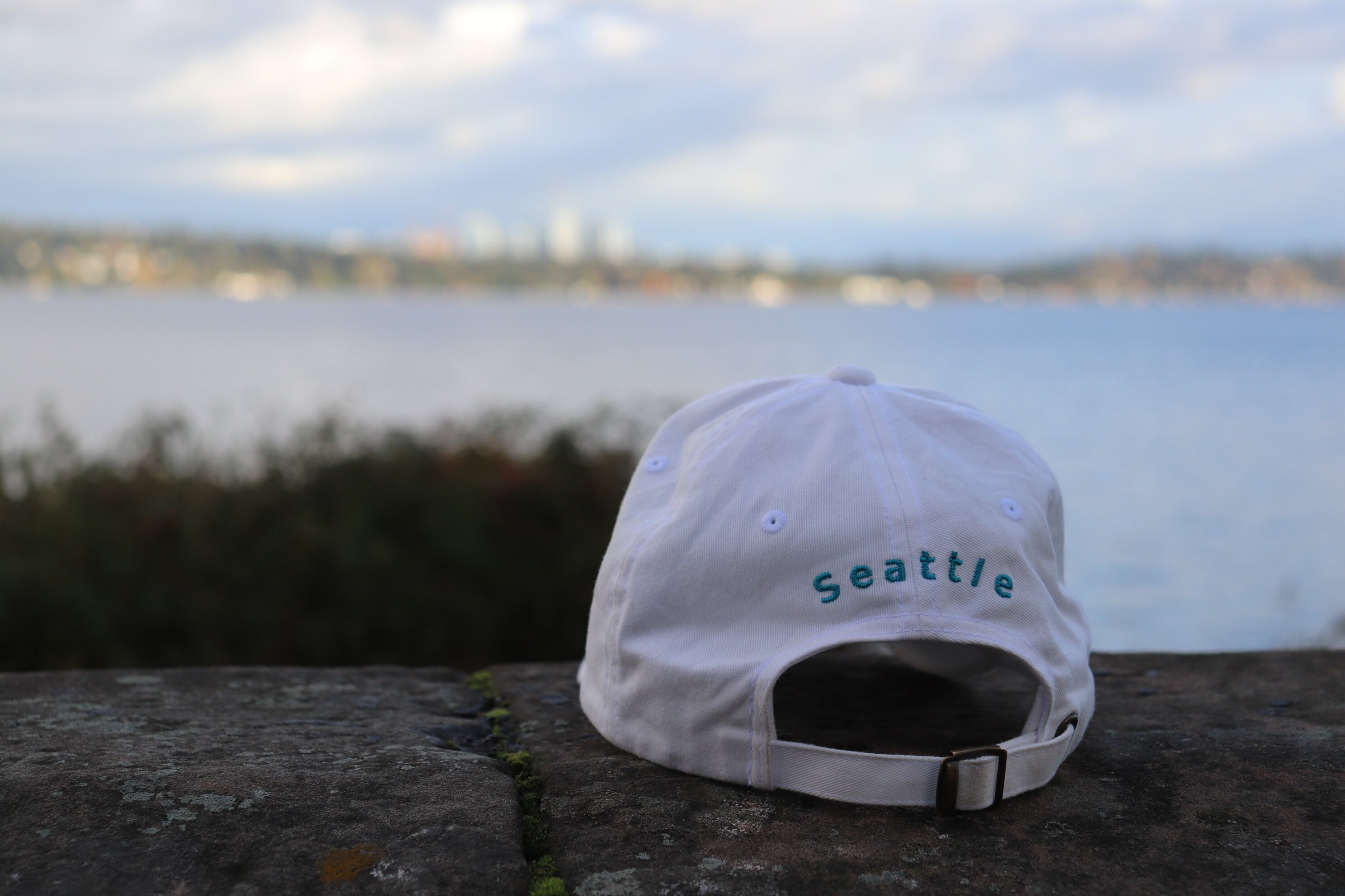 Products — Seattle Flag