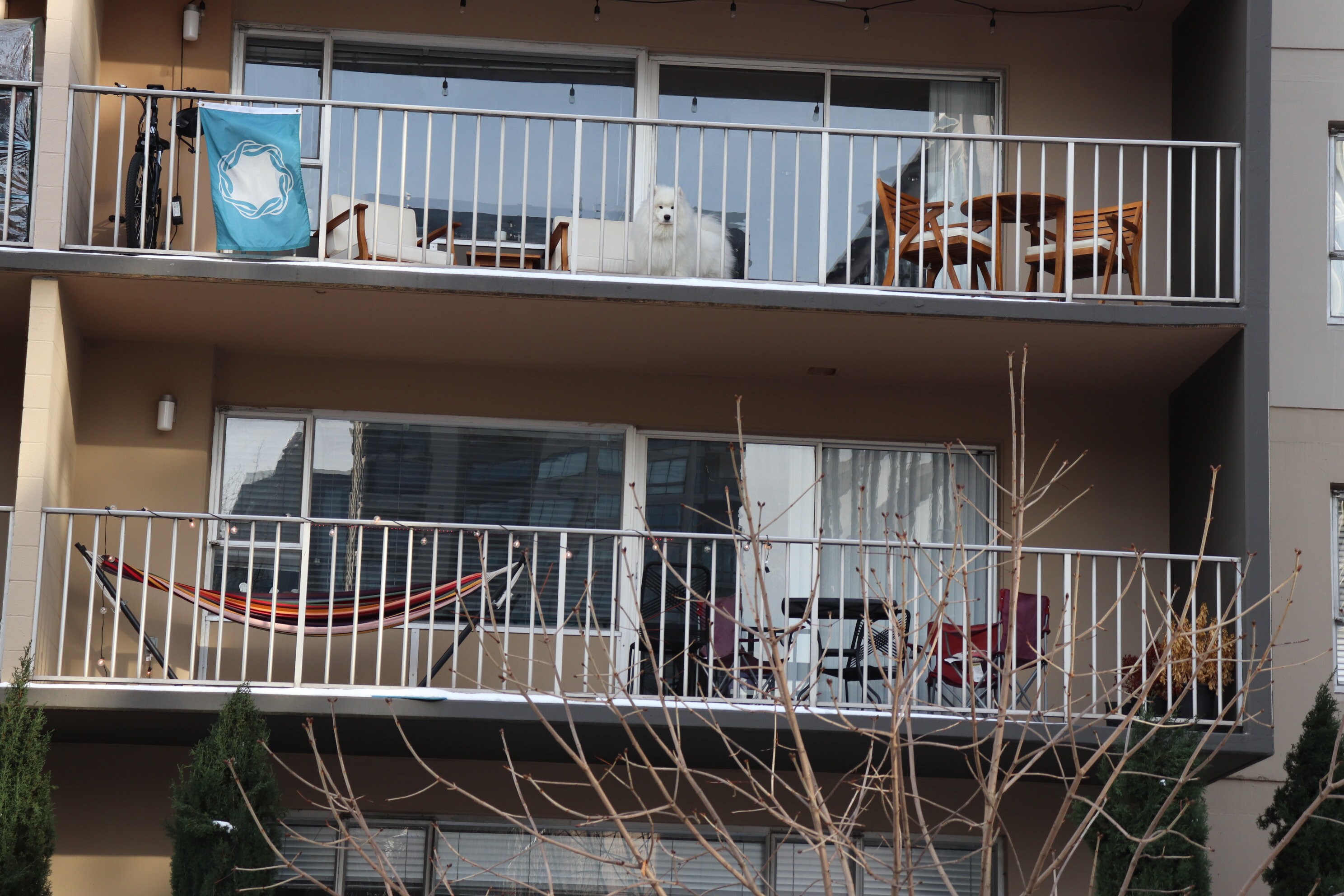 Seattle City Flag — Seattle Flag