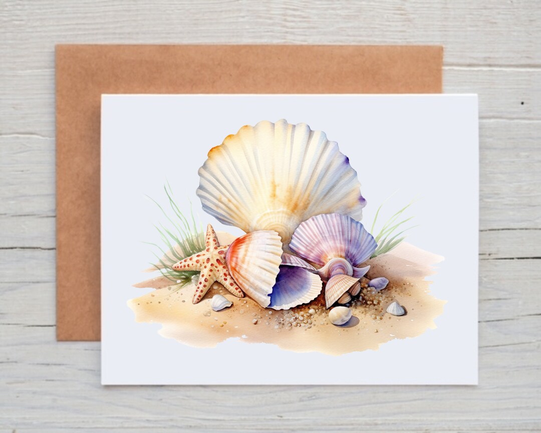 Seashell Note Cards With Envelopes, Summer Stationery, Beach Card Pack ...