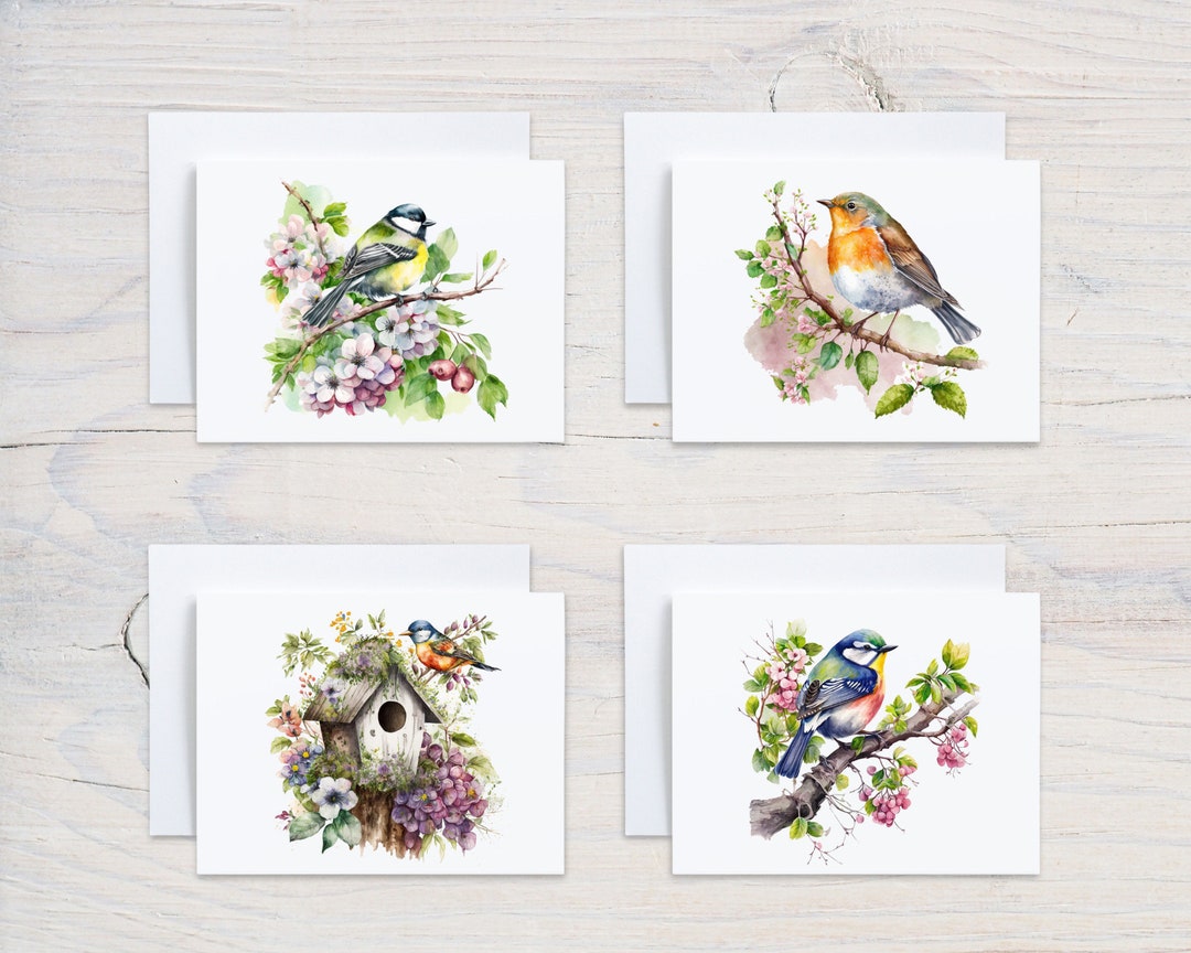 Bird Card Variety Pack, Bird Stationery for Women, Spring Note Cards ...