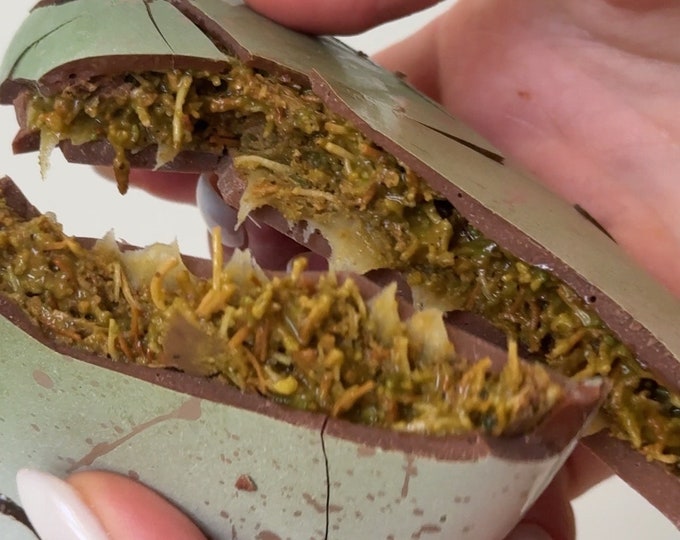 One Big Dubai Viral Knanef Pistachio Chocolate Bar, Heart Shaped ...