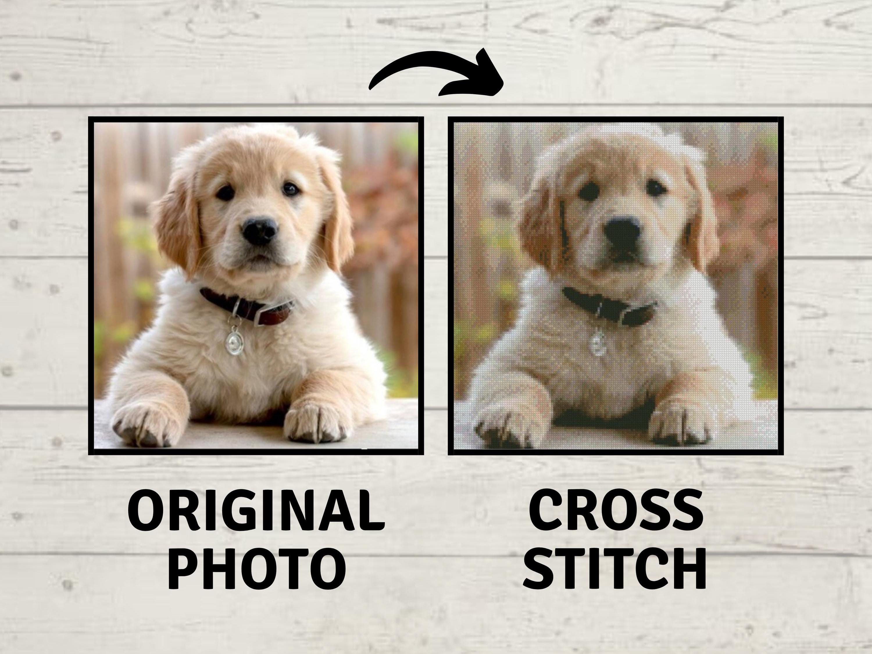 Custom Cross Stitch Pattern, Customizable Cross Stitch Pattern, Convert ...