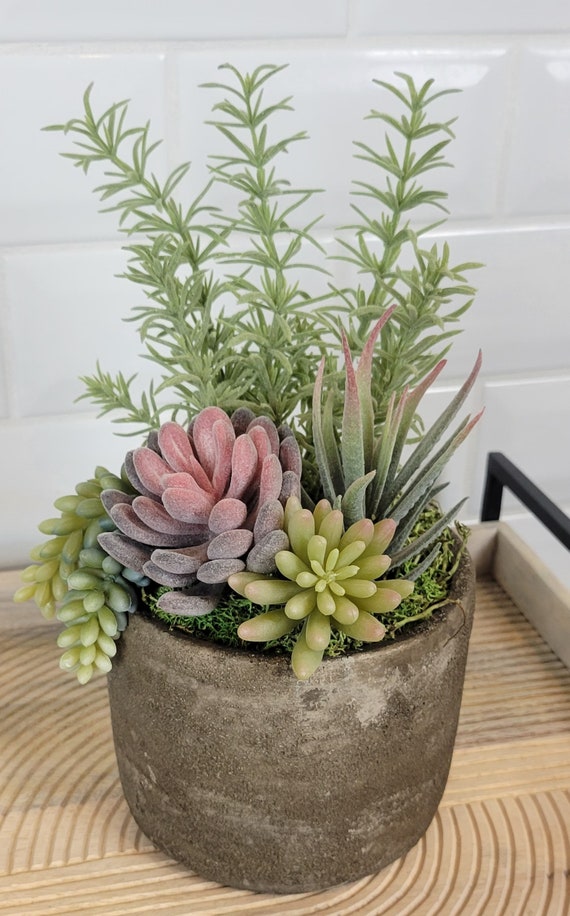 2 sizes Rustic Cement Planters Outdoor Planters Home & Living Planters ...