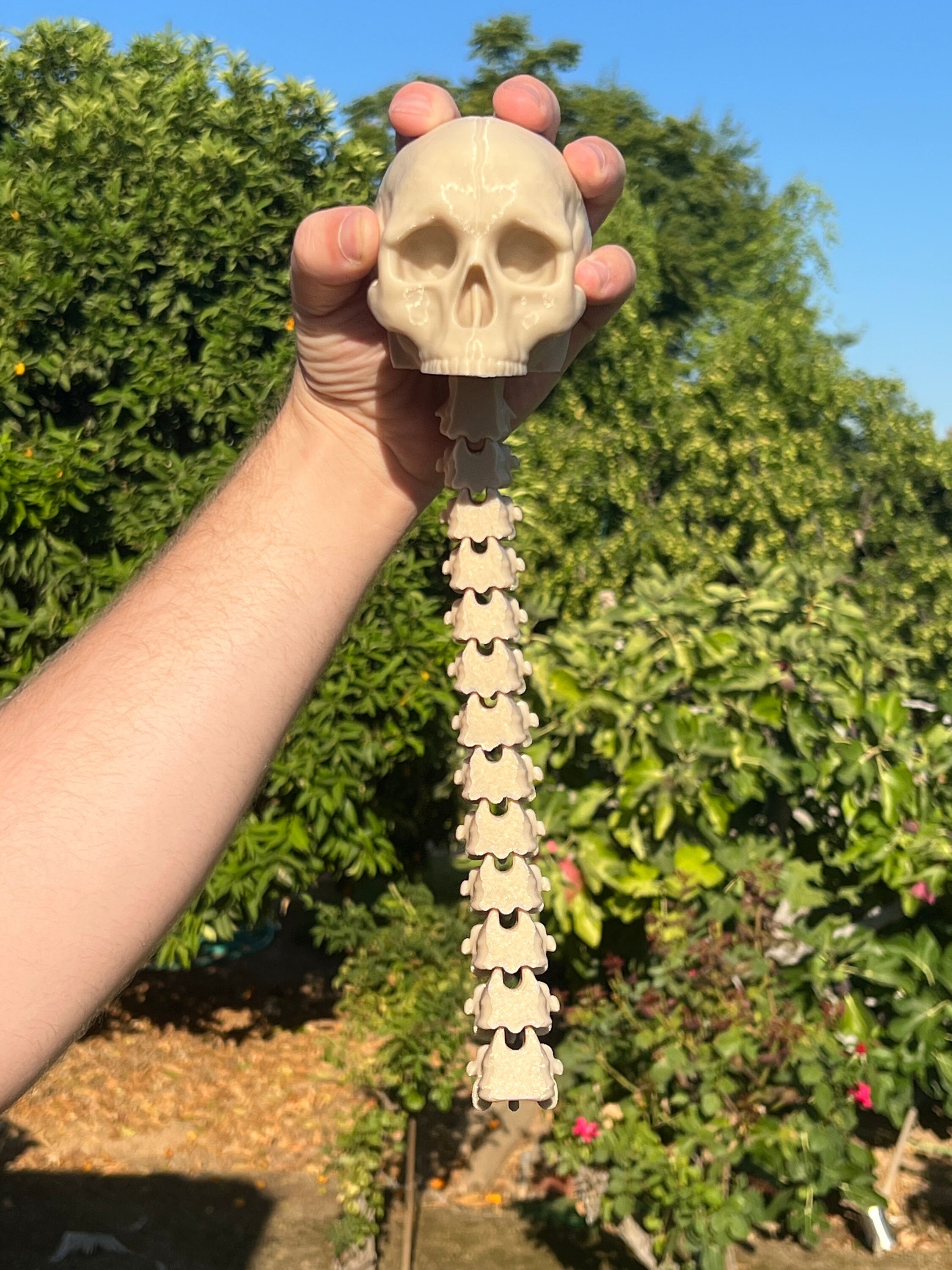 3D Printed Articulated Predator Skull Trophy by Hex3d - Etsy Australia