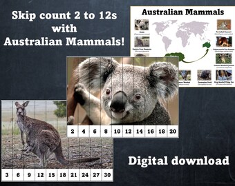 Skip Counting Puzzles - Etsy