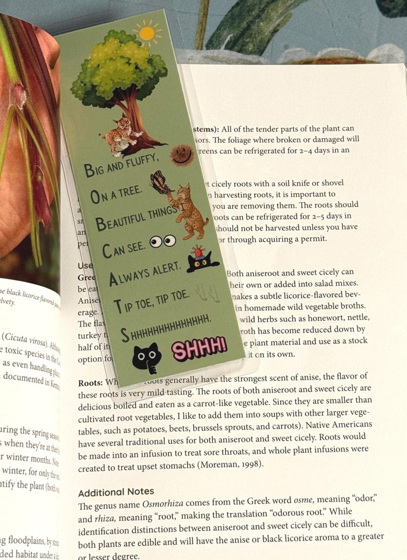 Bobcats Bookmark – Original Poem and Artwork by Young Artist – Handmade ...
