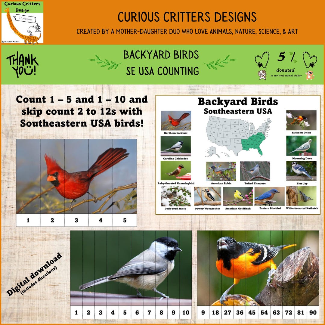 Bird Counting Worksheets | Skip Counting Math Puzzles | Backyard Birds ...
