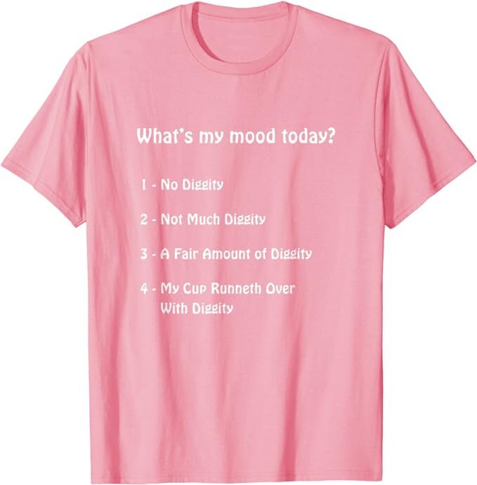 No Diggity Mood T-shirt What is Your Mood Today Comedy No Diggity Mood T-shirt What is Your Mood Today Comedy