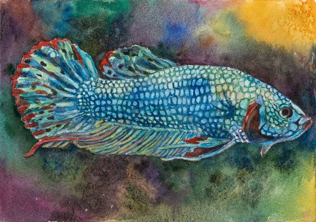 Printable File: Watercolor / Siamese Fighting Fish Female / Betta Fish ...