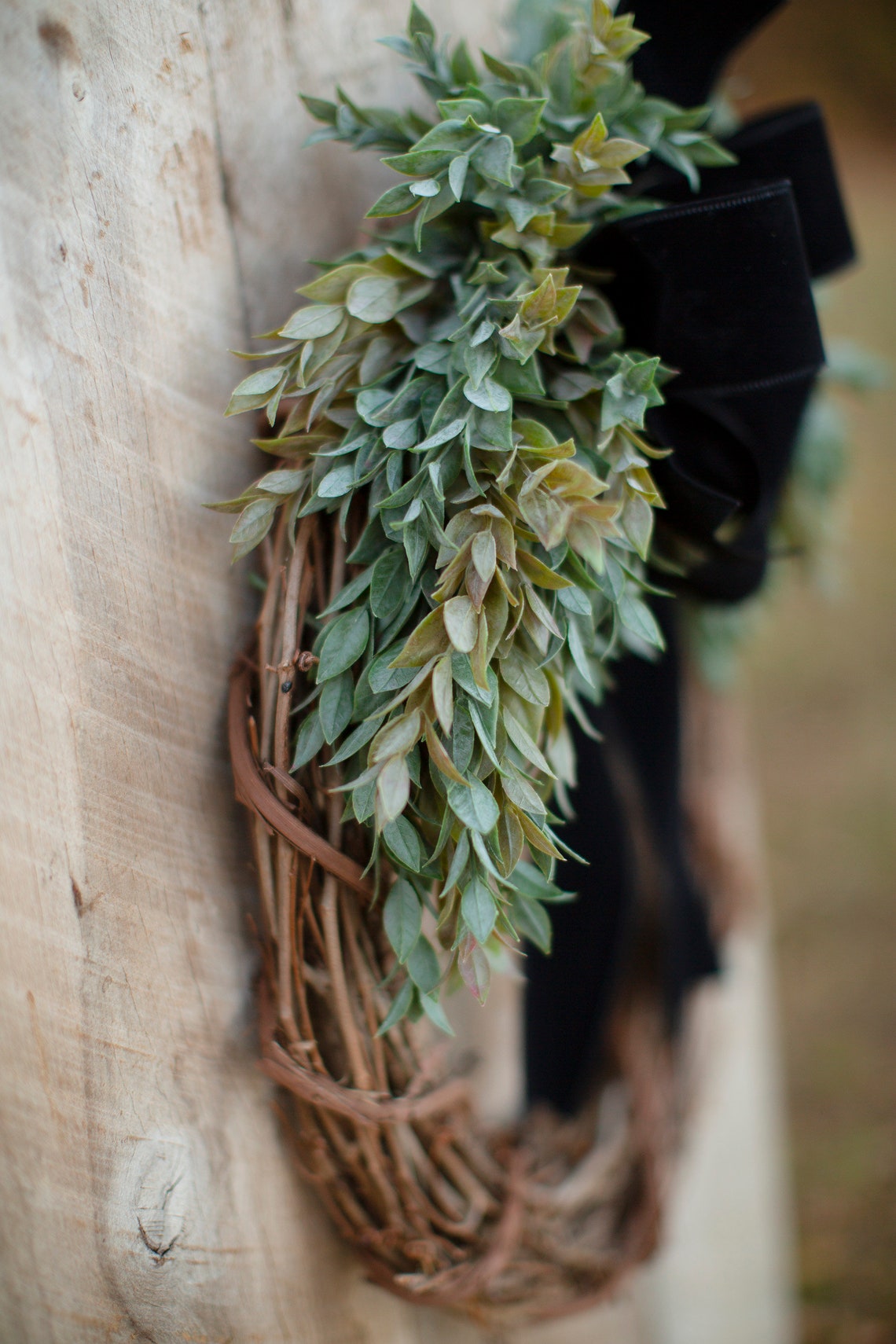 Everyday Ruscus Wreath, Elegant Everday Greenery Wreath, Farmhouse ...