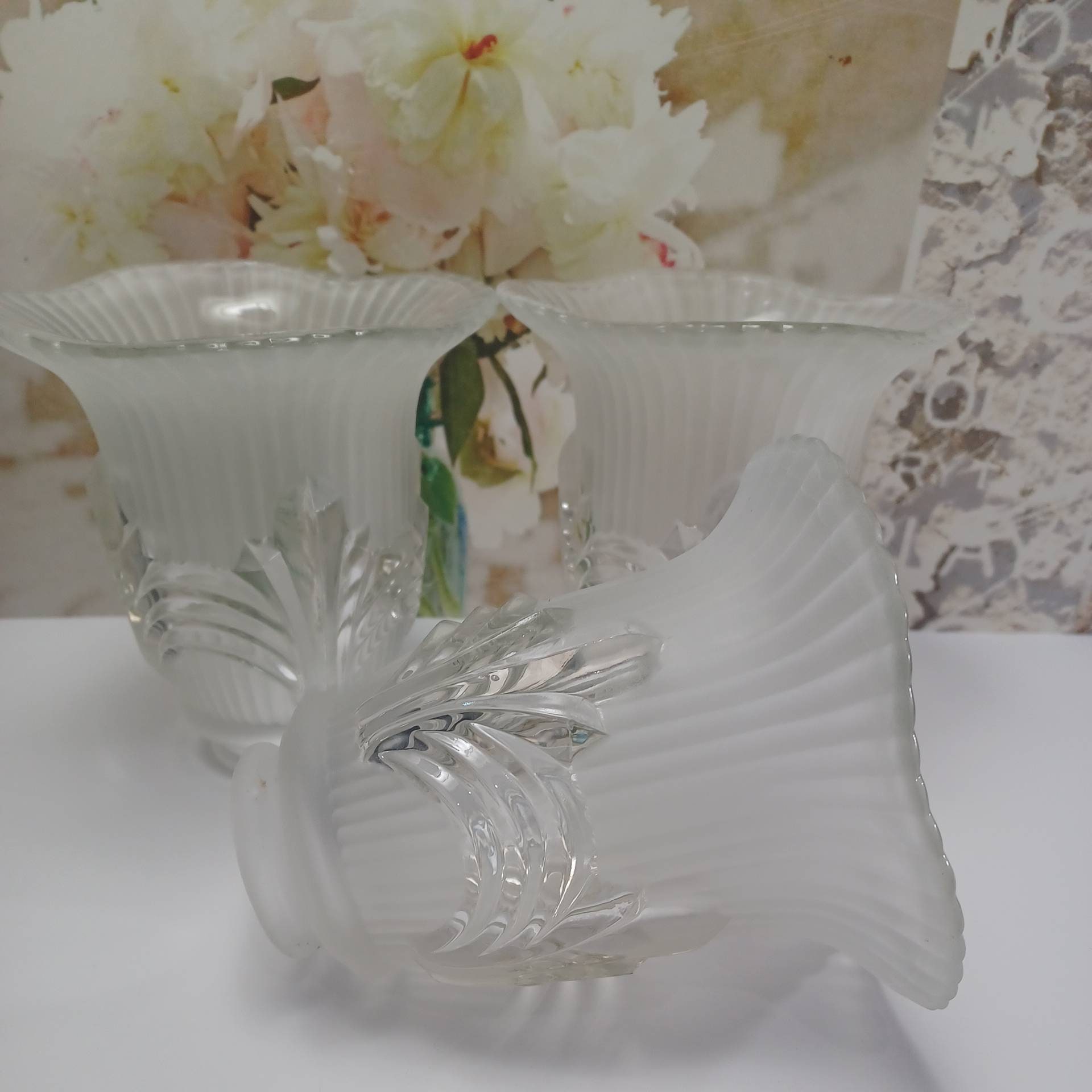 Vintage 3 Frosted Emboss Glass Scallop Edge 5.5 Light - Etsy