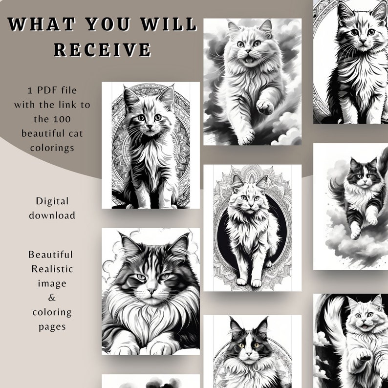 Cat Coloring Pages | Long-haired Cat Coloring Book | Mandala Coloring ...