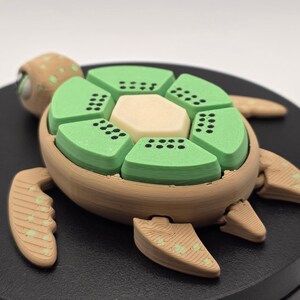 Kiwi Turtle Clicker | 3D Printed Articulated Fruit Sensory Toy | ASMR, ADHD & Anxiety Relief ...