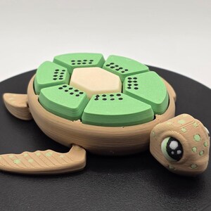 Kiwi Turtle Clicker | 3D Printed Articulated Fruit Sensory Toy | ASMR, ADHD & Anxiety Relief ...
