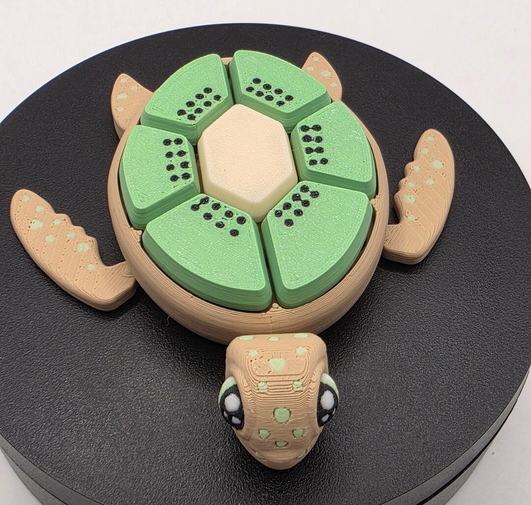 Kiwi Turtle Clicker | 3D Printed Articulated Fruit Sensory Toy | ASMR ...