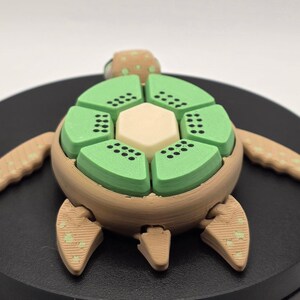 Kiwi Turtle Clicker | 3D Printed Articulated Fruit Sensory Toy | ASMR, ADHD & Anxiety Relief ...