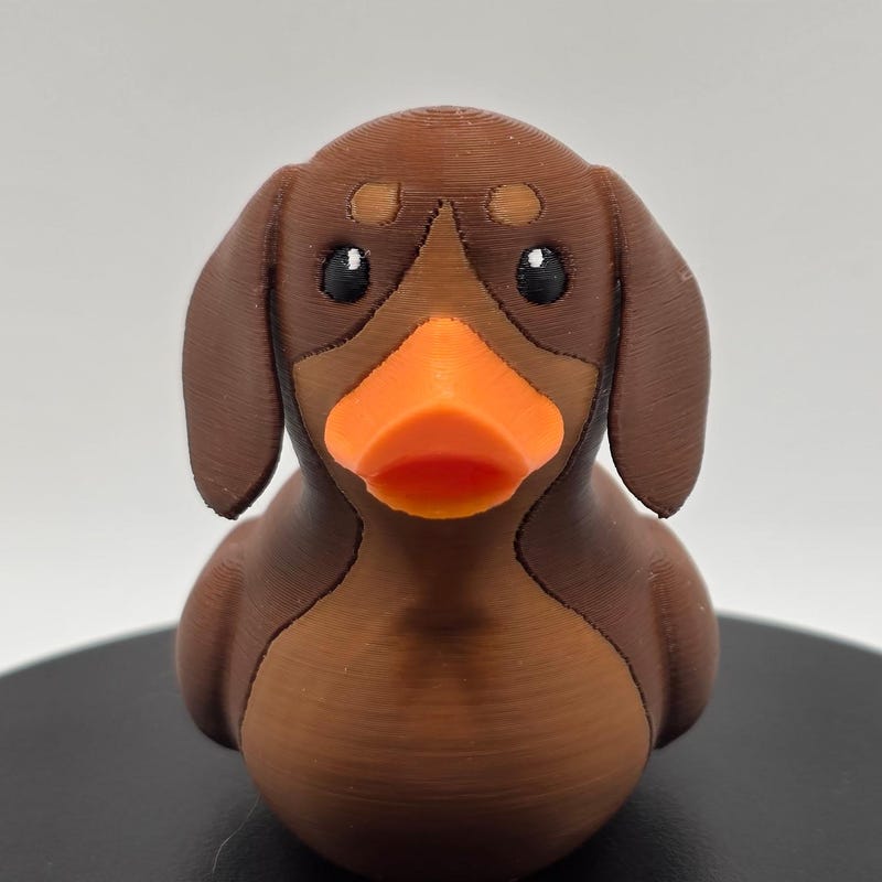 Black Duck Dog With Duck - Etsy