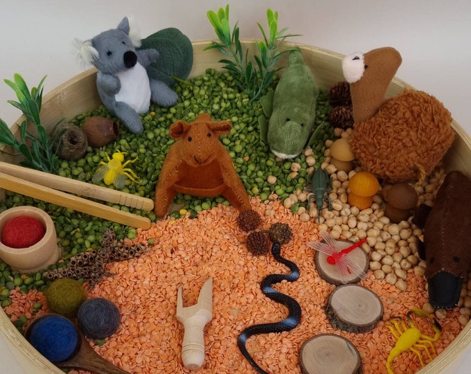 Australian Bush Sensory Kit - Etsy Australia