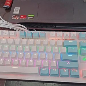 Pastel Lighting Keyboard, 87 Keys USB Wired Gaming Keyboard, Modern ...