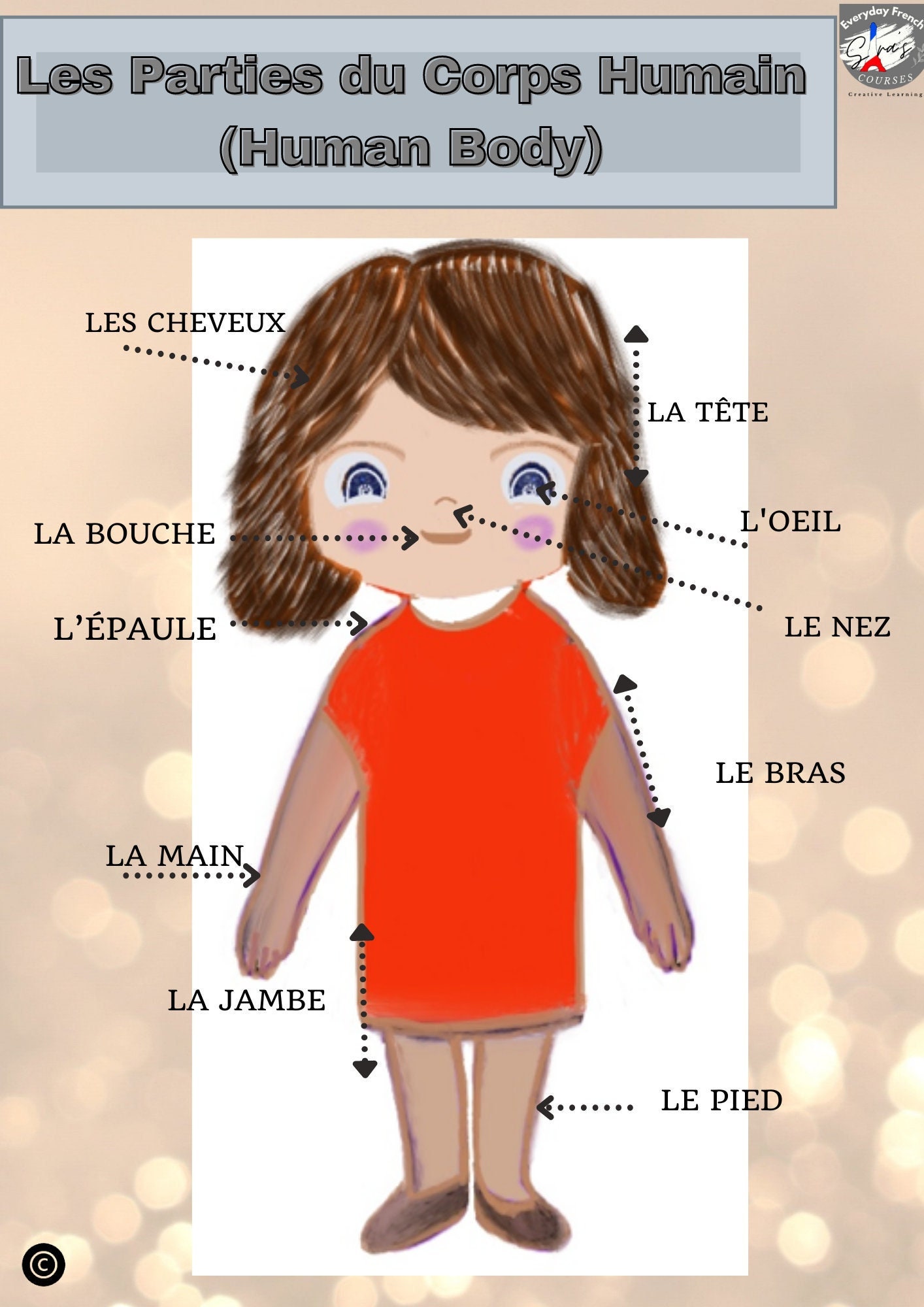 French Body Parts Vocabulary, French Body Parts Simple Test, French ...