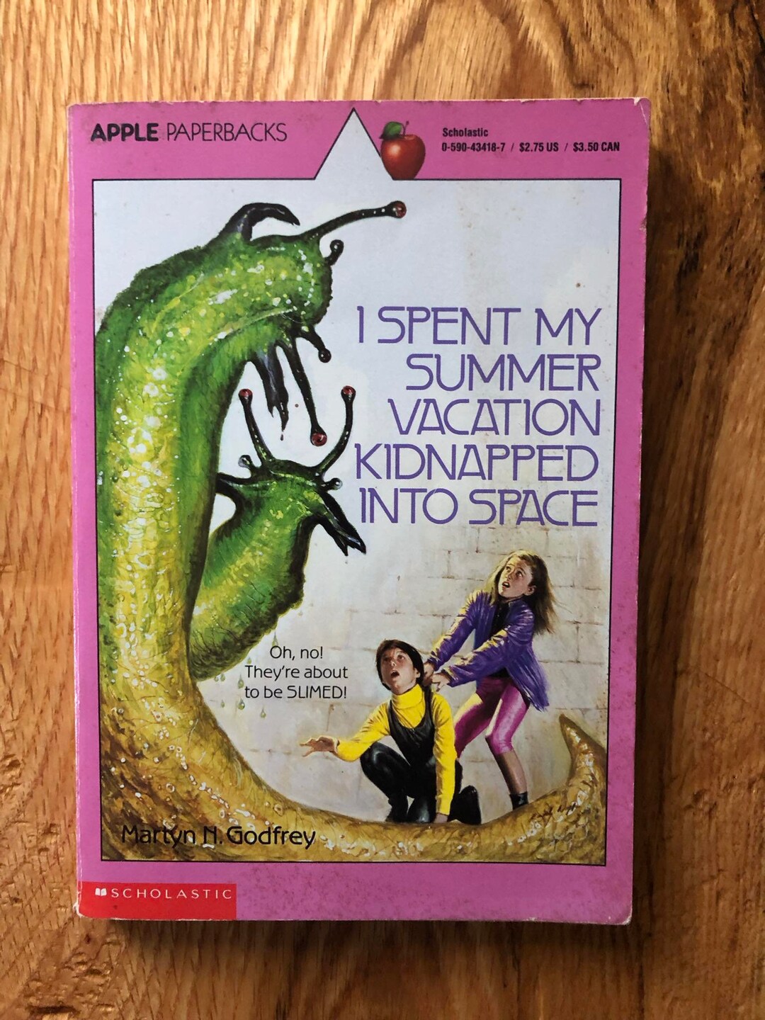 I Spent My Summer Vacation Kidnapped Into Space- Martyn Godfrey ...