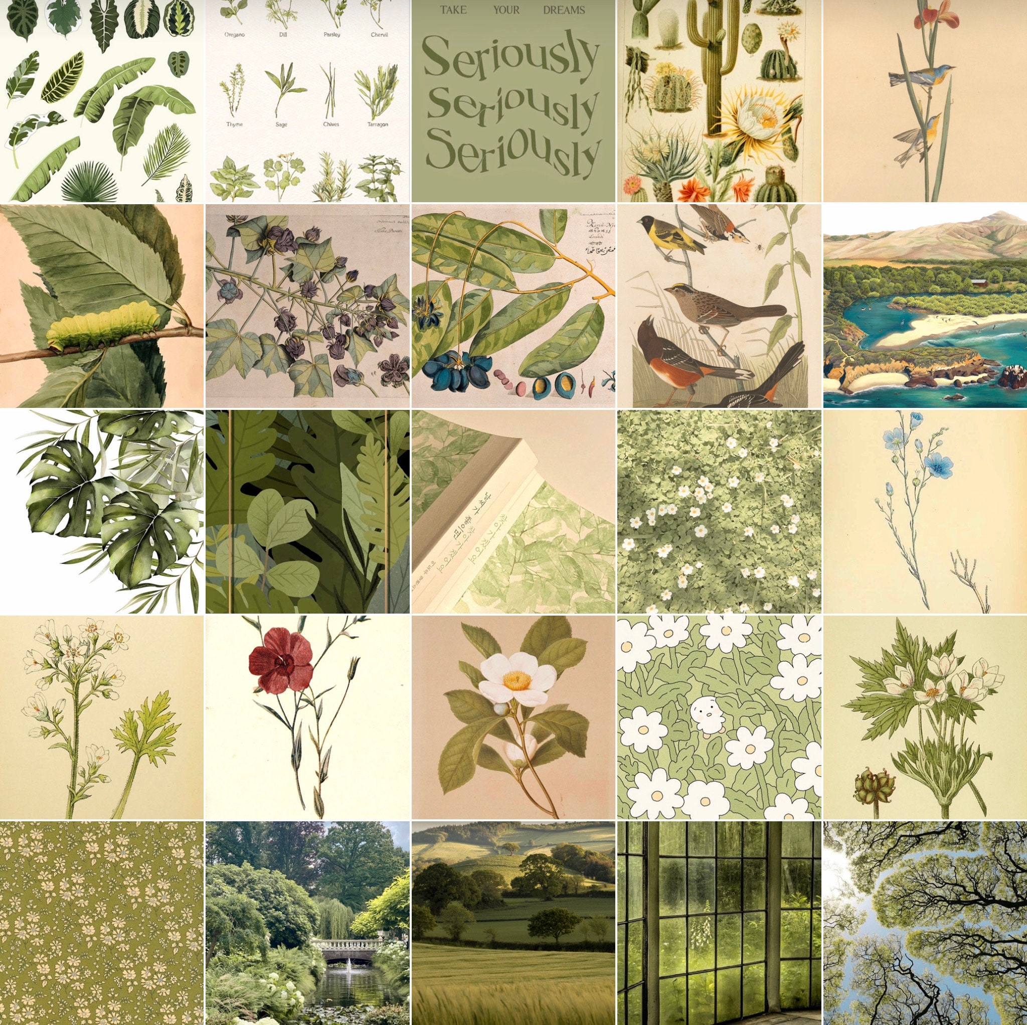 65 Pcs Green and Planty Accent Wall Poster Kit Greenery Pack, Aesthetic ...