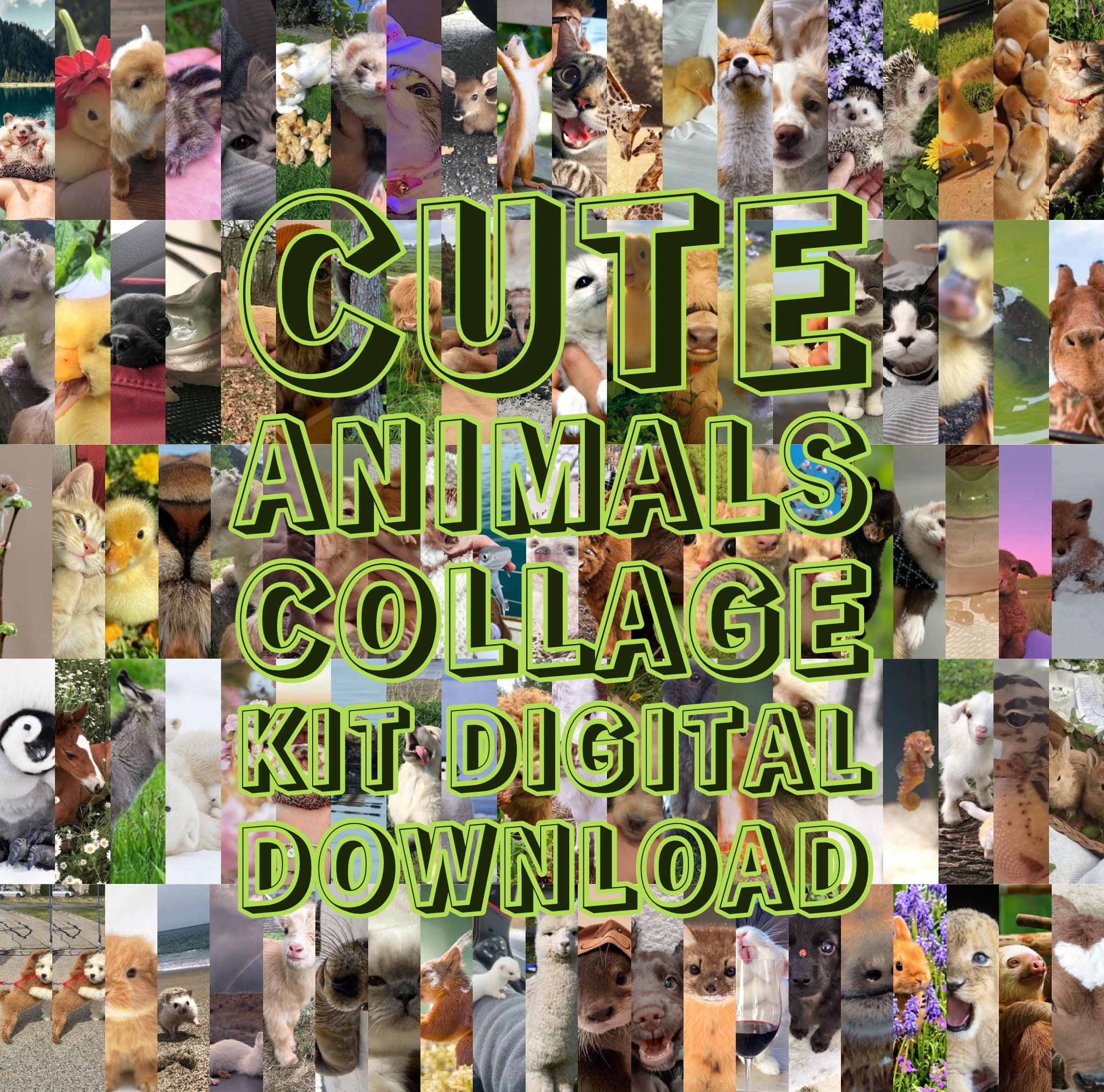102 Pcs Cute Animals Wall Collage Kit Aesthetic, Adorable, Happy Pack ...