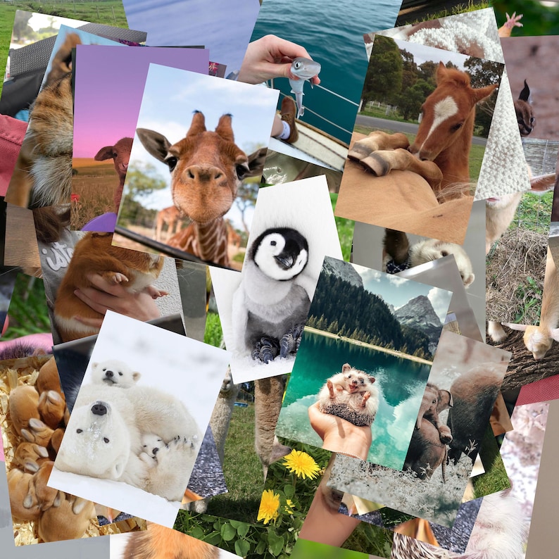 102 Pcs Cute Animals Wall Collage Kit Aesthetic, Adorable, Happy Pack ...