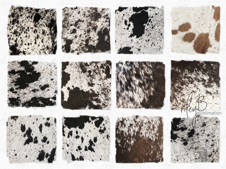 Nguni Hide I Texture Pngs - Cowhide Sublimation Textures - Cowhide ...
