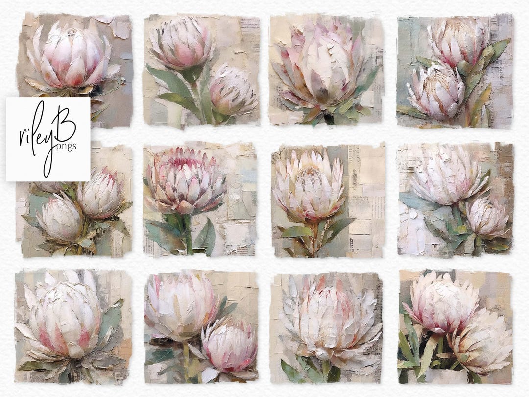 Protea Collages Pngs – Blush and Cream Petals – Vintage Paper Layers ...