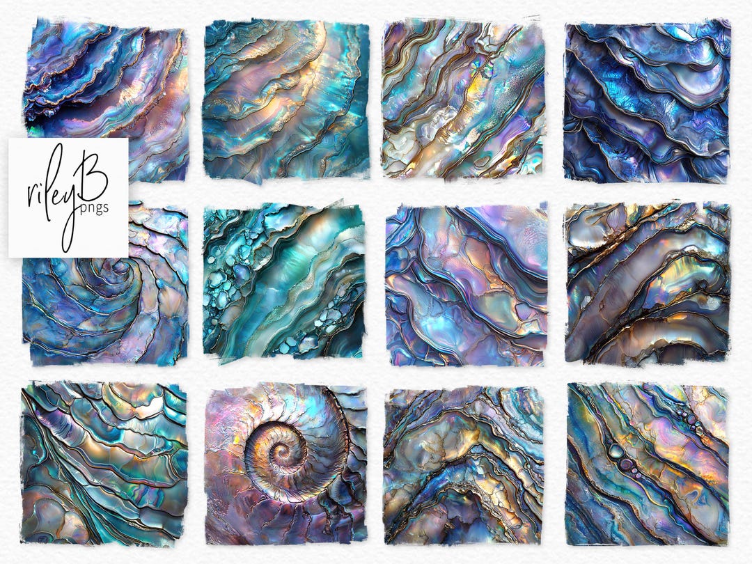 Iridescent Abalone Pngs – Shell Texture Clipart – Holographic Ocean ...