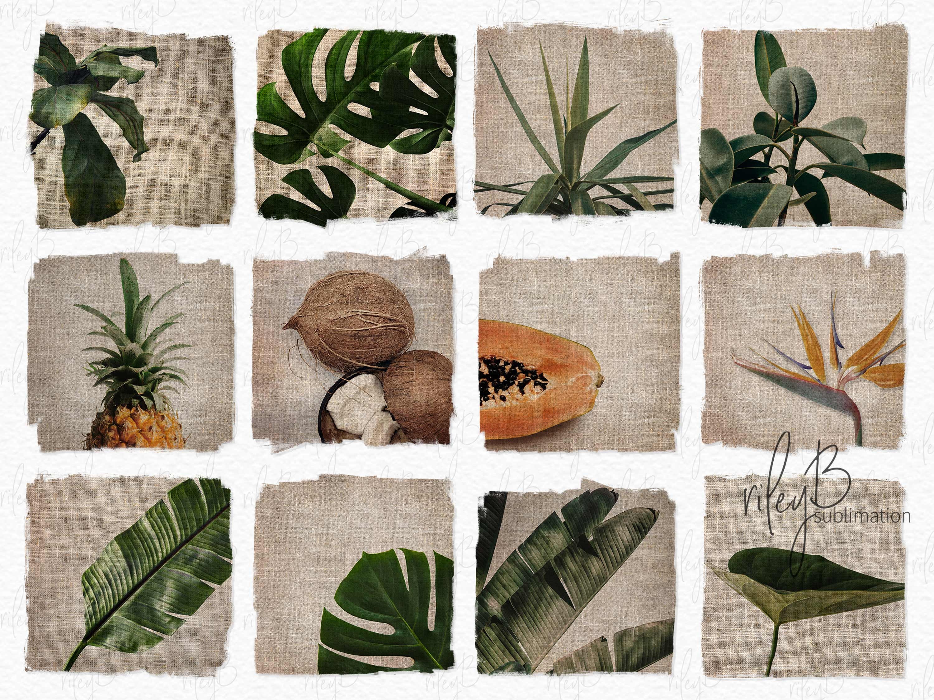 Tropical Linen Textures Pngs - Tropical Plants on Linen Backgrounds ...
