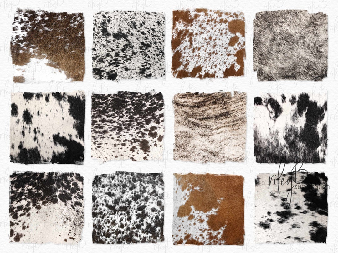 Nguni Cattle Hide Textures II Pngs - Cowhide Backgrounds - Brown and ...