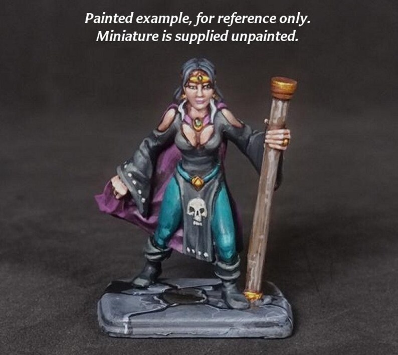 Female Wizard Sorceress For Heroquest As Seen In Barbarian Etsy