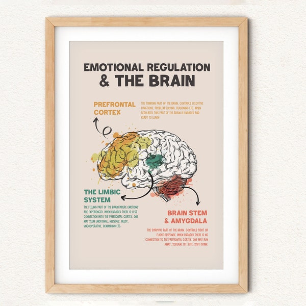 Brain Poster - Etsy
