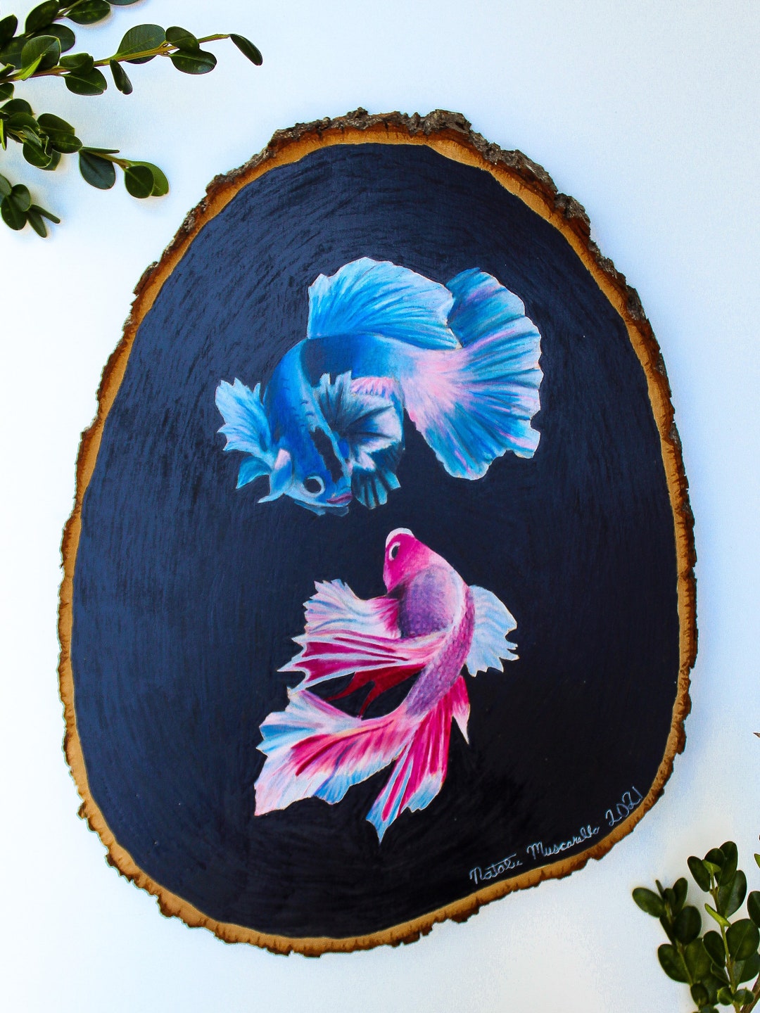Betta Fish Color Pencil Drawing - Etsy