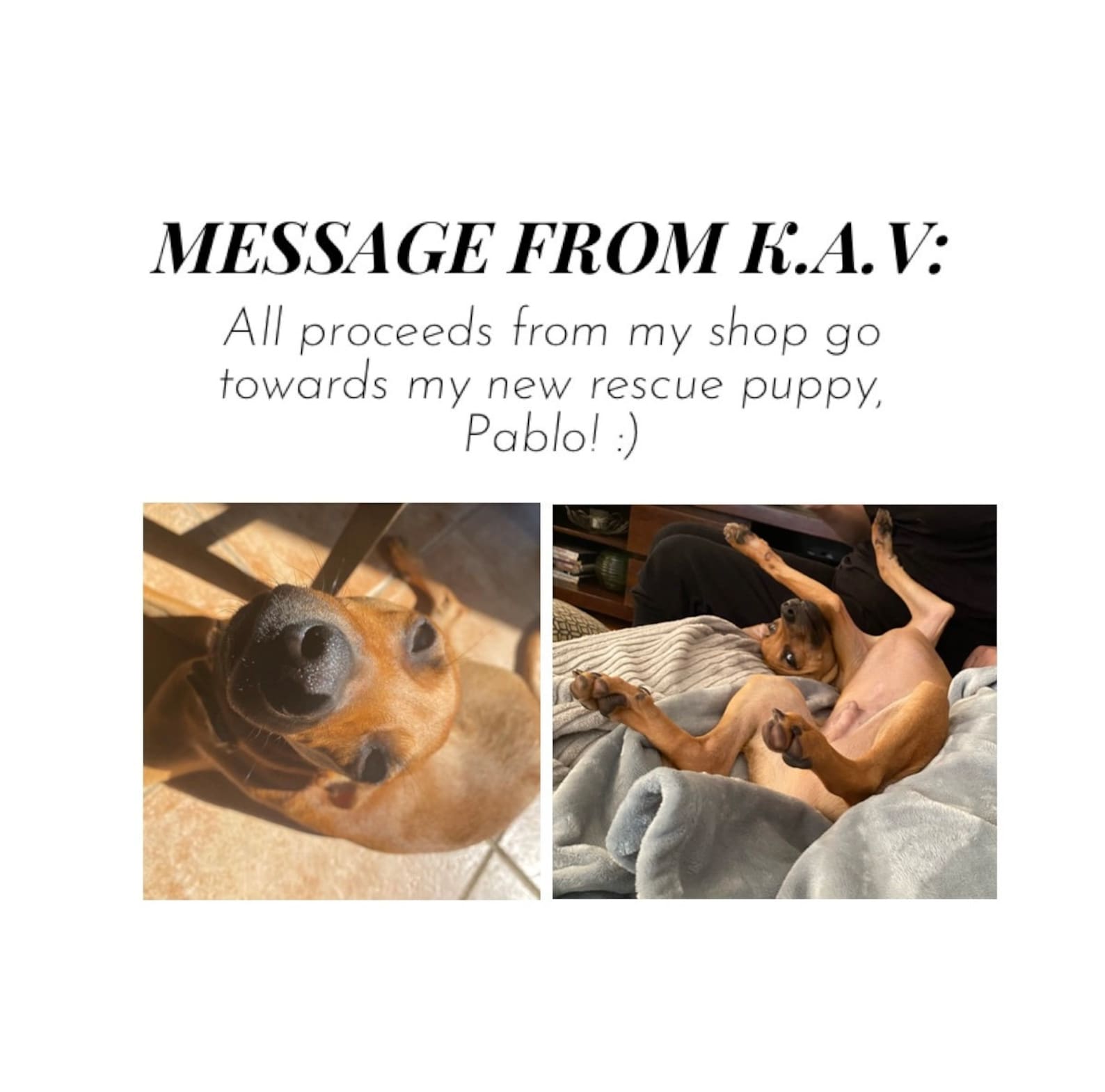 LYNX PTU BASE - Png Files - Lineart, Blue Shading, Etc - Feline / Big ...