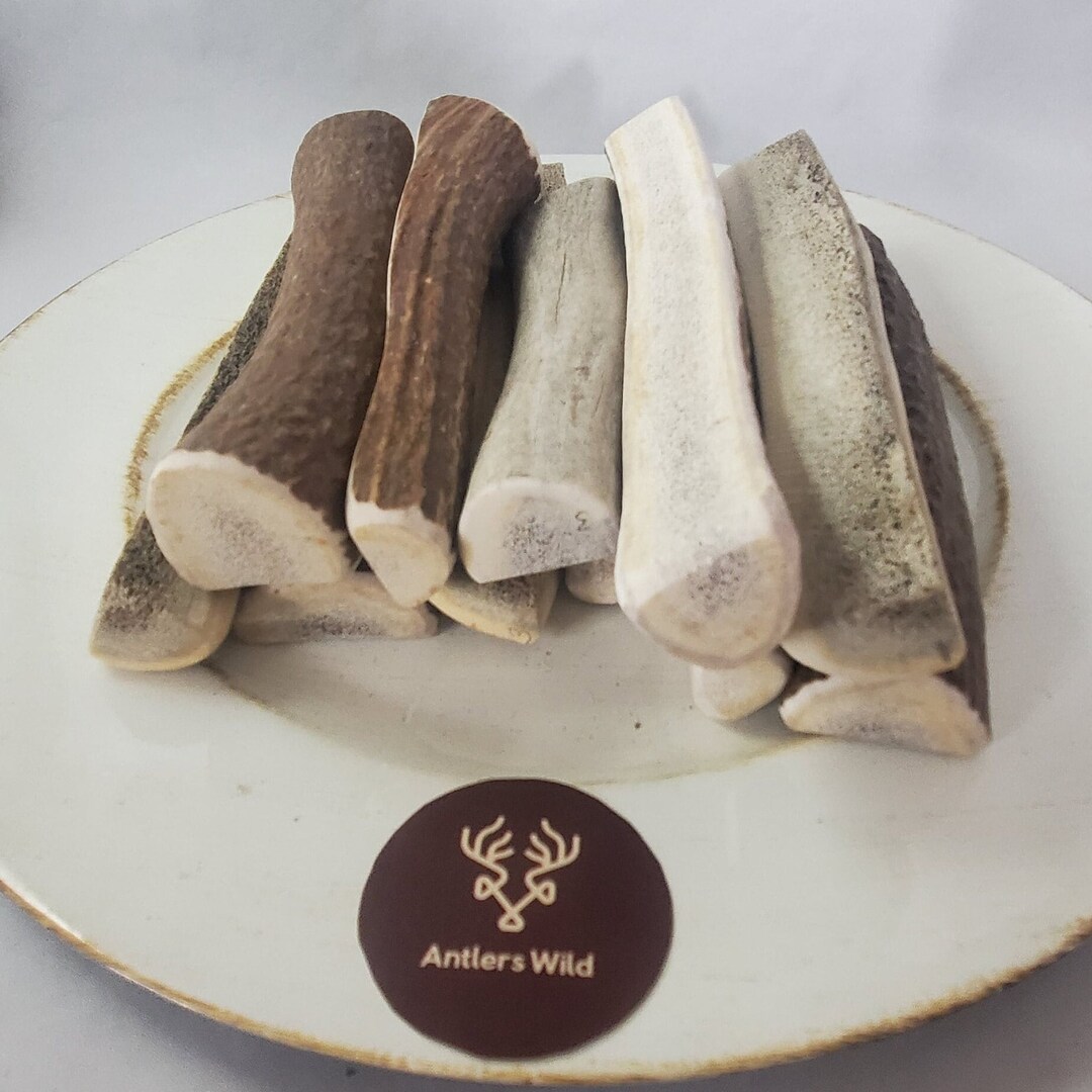 Premium Split Elk Antler Dog Chews Cut in Halves (2) - Etsy