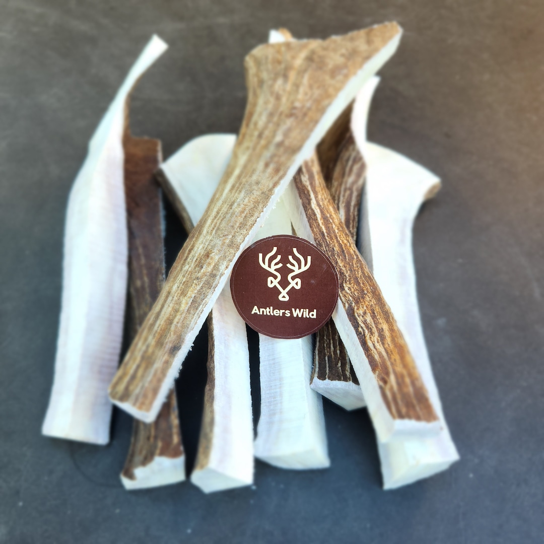 1/4 Cut Moose Antler Base (9-10 Inches) - Etsy