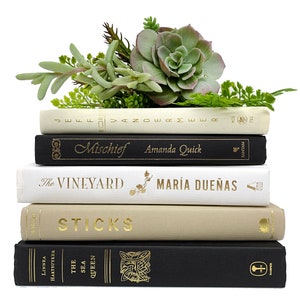 Home Decor Books by Color for Home Decor and Staging, Neutral Book ...