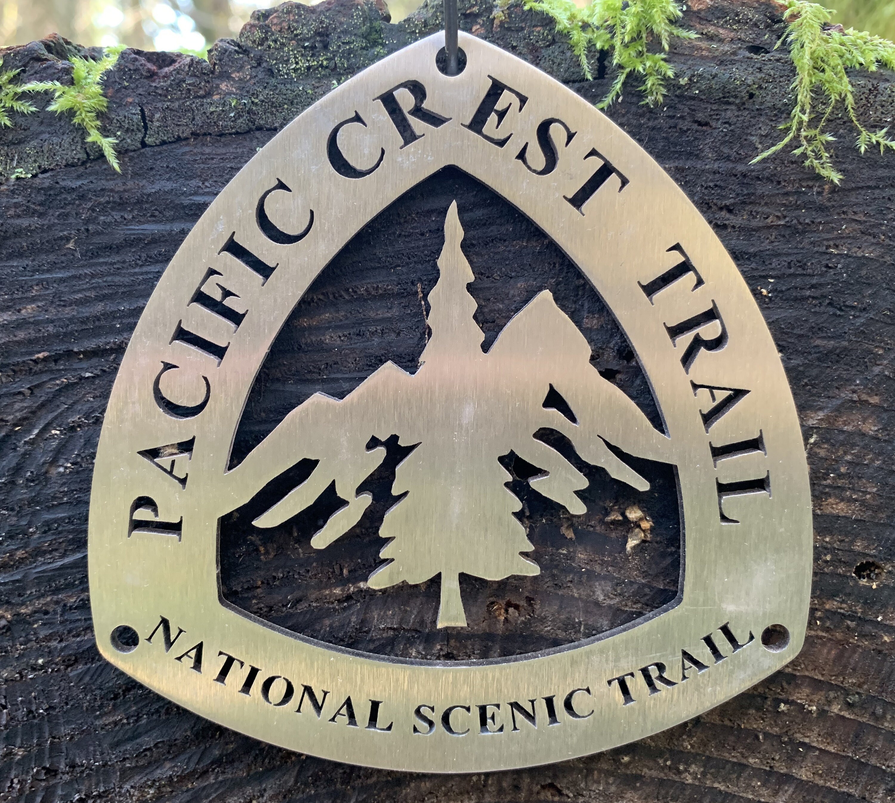 Pacific Crest Trail PCT Hiking Stainless Steel Sign, Medallion | PNW ...