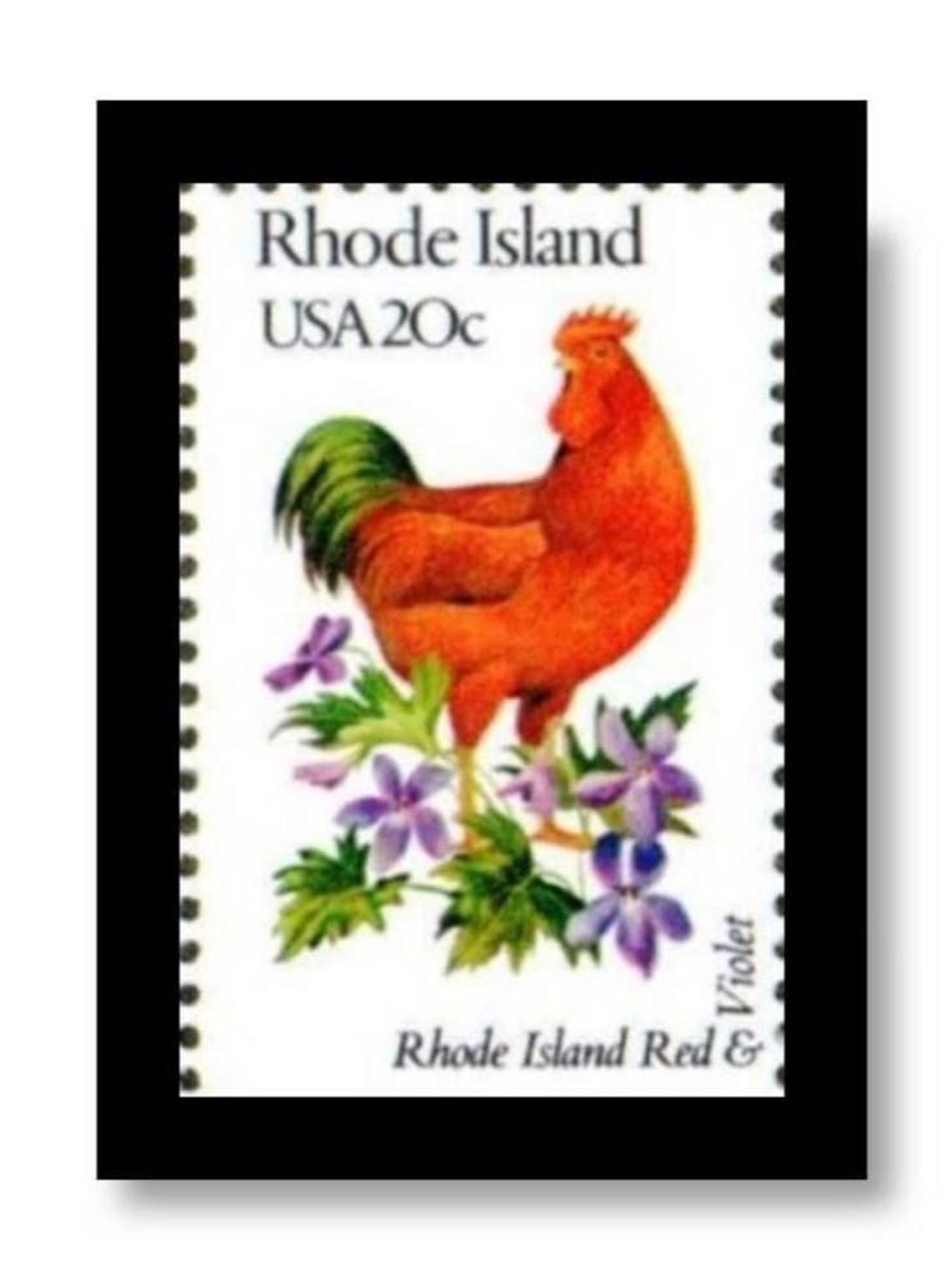 Vintage Unused Rhode Island State Flower and Bird 20 Cent US Postage ...